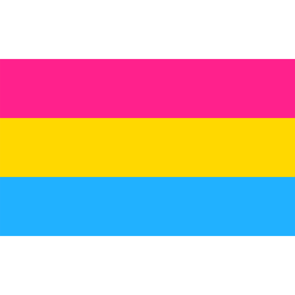 Pansexual Pride Flag 9866